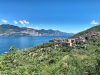 Brenzone sul Garda: The Complete Guide to Italy's Olive Riviera