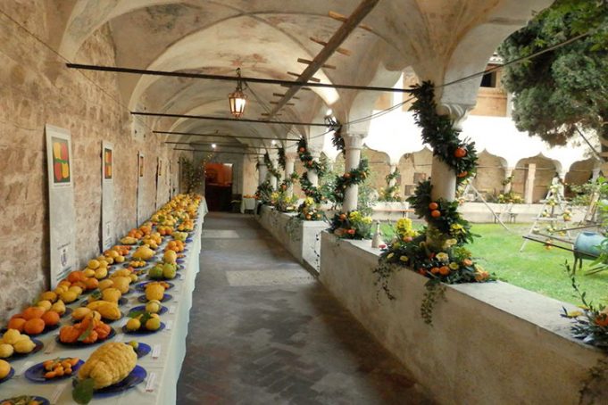 Le più belle limonaie del Lago di Garda e il Cedro di Salò.