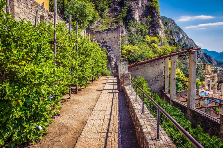 Le più belle limonaie del Lago di Garda e il Cedro di Salò.