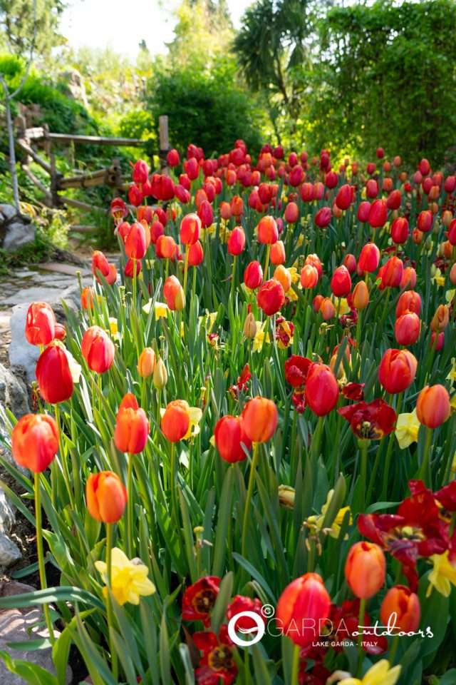 Gardone Riviera: Pearl of Lake Garda & Botanical Gardens