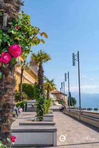 Gardone Riviera: Pearl of Lake Garda & Botanical Gardens