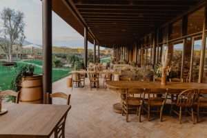 Valtenesi del Garda: territorio di-vino immerso fra borghi e colline.
