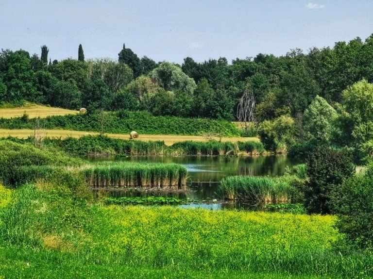 Valtenesi del Garda: territorio di-vino immerso fra borghi e colline.