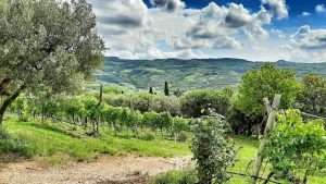 Soave: borgo più bello d’Italia 2022.