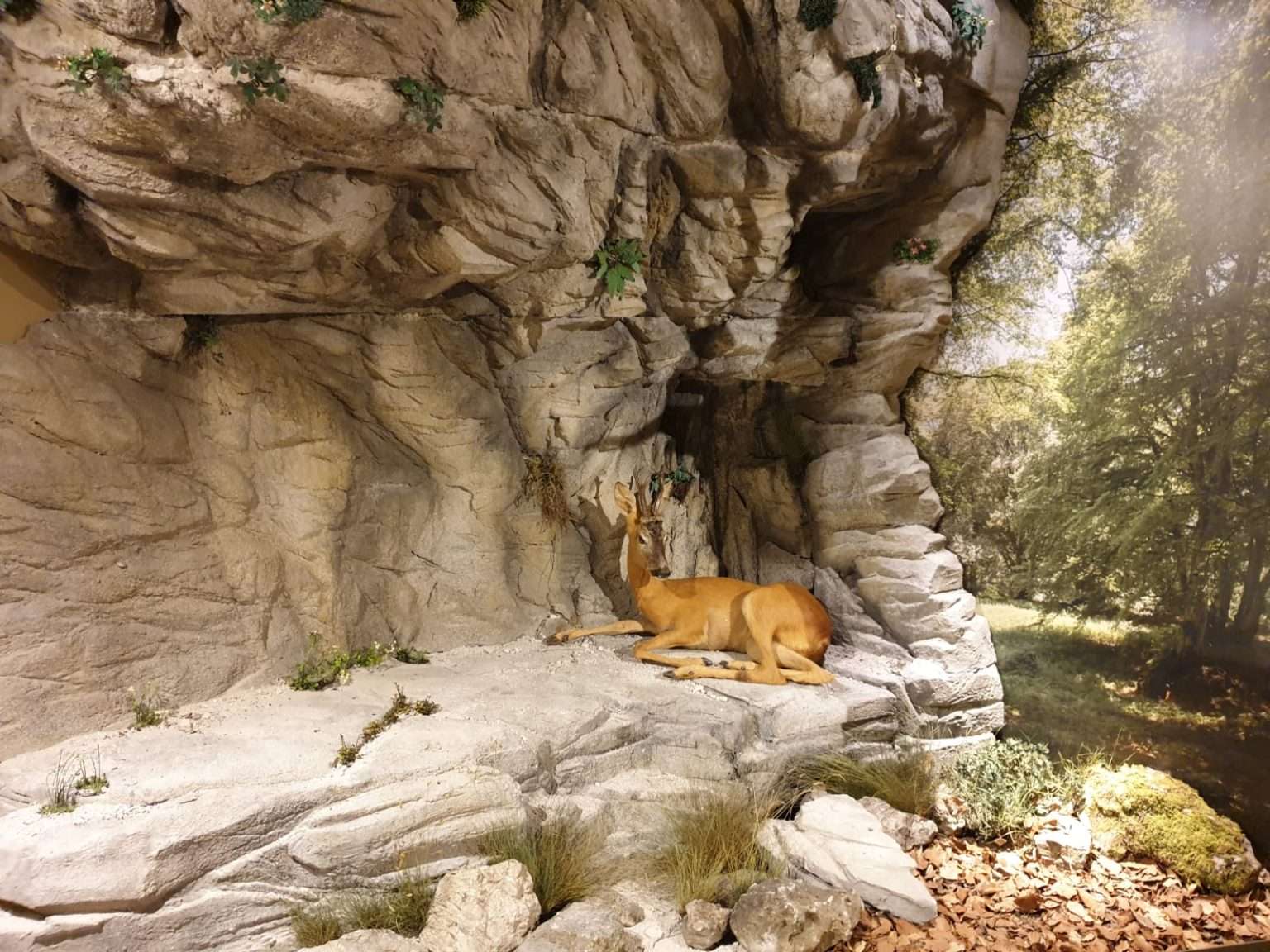 Tignale sul Lago di Garda, una vacanza tutta da vivere!