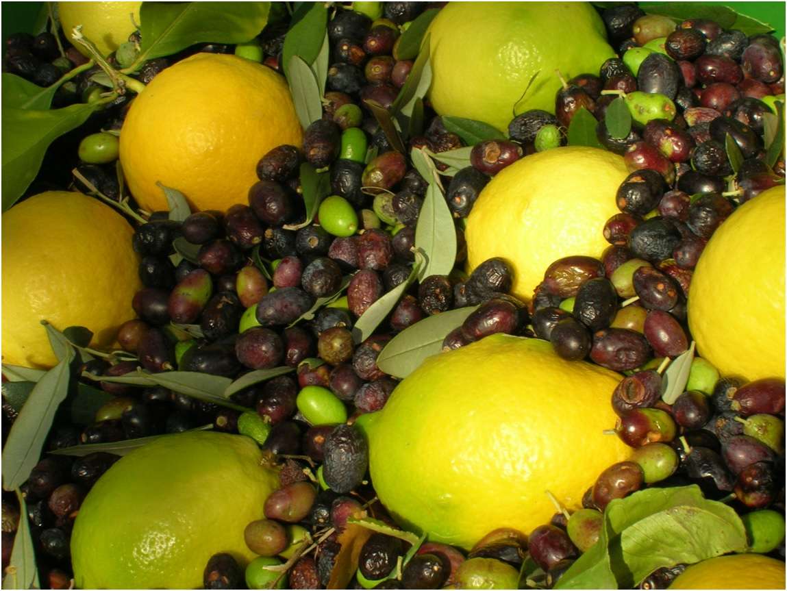 Lemons and olives from Lake Garda: cosmetics and health.