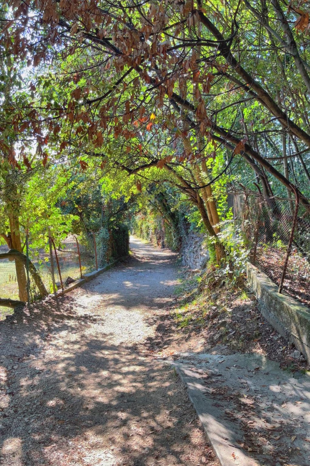Panorama da sogno: il Promontorio di San Fermo - Lago di Garda.