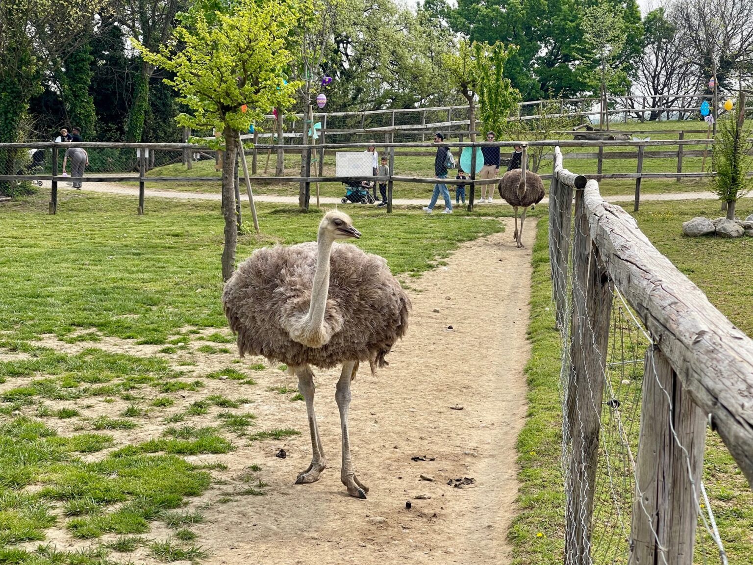 La Collina di Matilde: educational farm for children on Lake Garda
